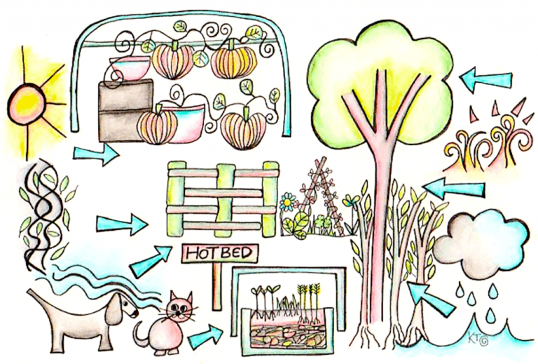 How To Effectively Use Microclimates For Permaculture Design
