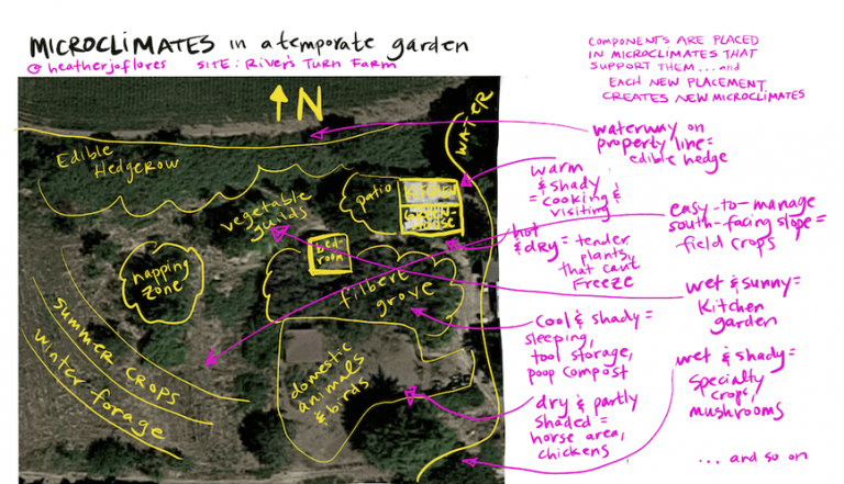How To Effectively Use Microclimates For Permaculture Design