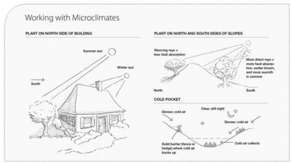 How To Effectively Use Microclimates For Permaculture Design