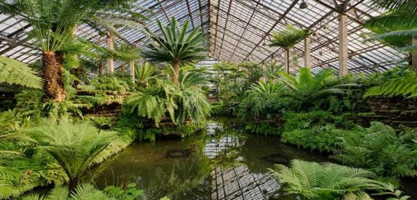 How To Effectively Use Microclimates For Permaculture Design