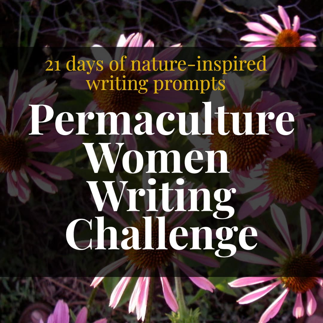 Permaculture Food Forest: How To Grow A Luxurious Garden