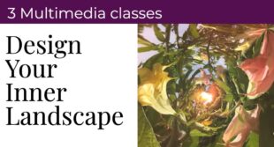 Week 37. Invisible Structures - #freepermaculture